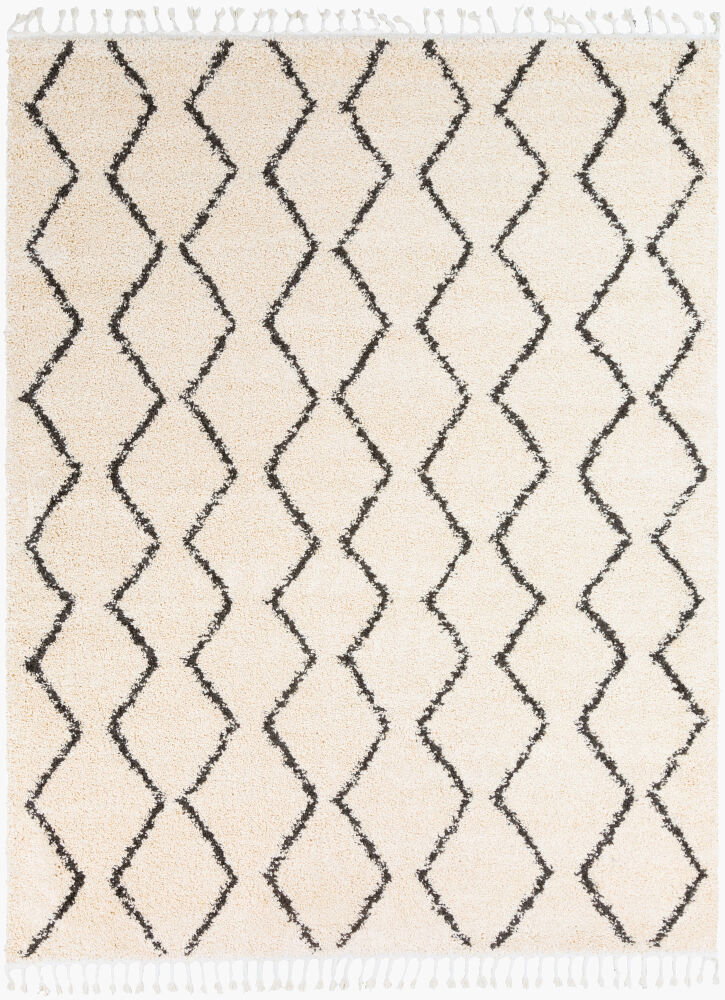 Berber Shag Machine Woven Rug by Surya Collection | Decorilla