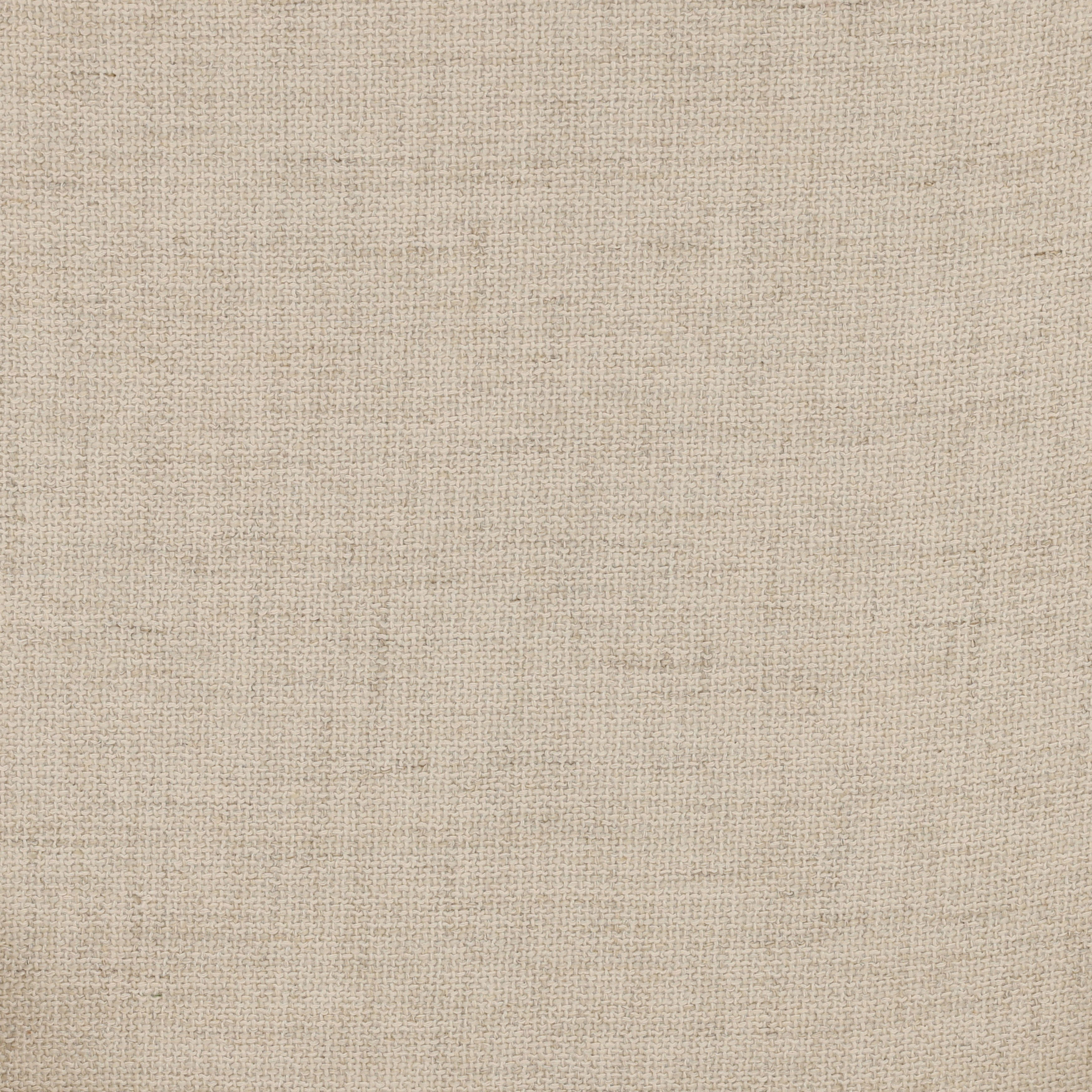 Beka Dining Chair Set of 2 Light Natural by Dovetail | Decorilla