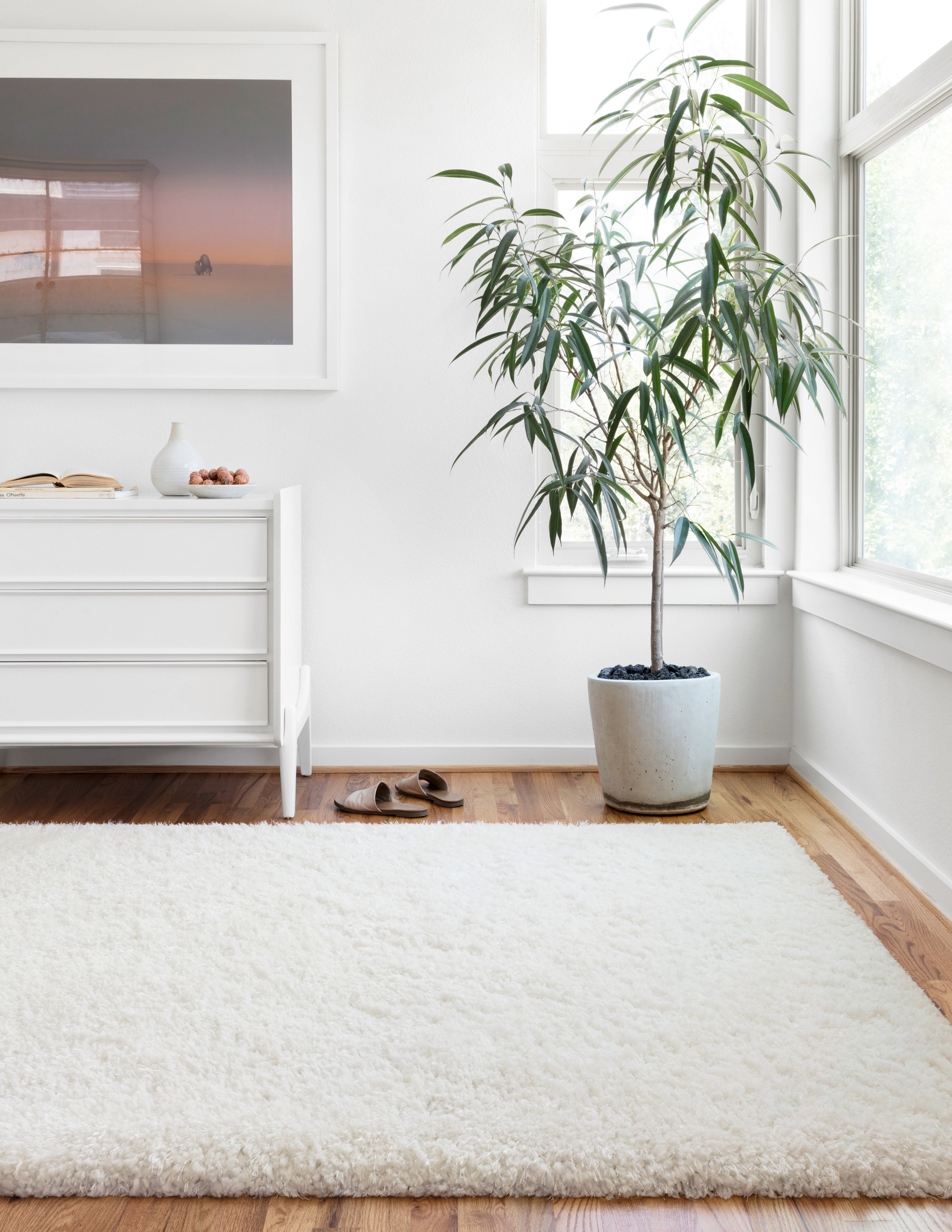 Loloi II Mila Shag Rug by Loloi Collection | Decorilla